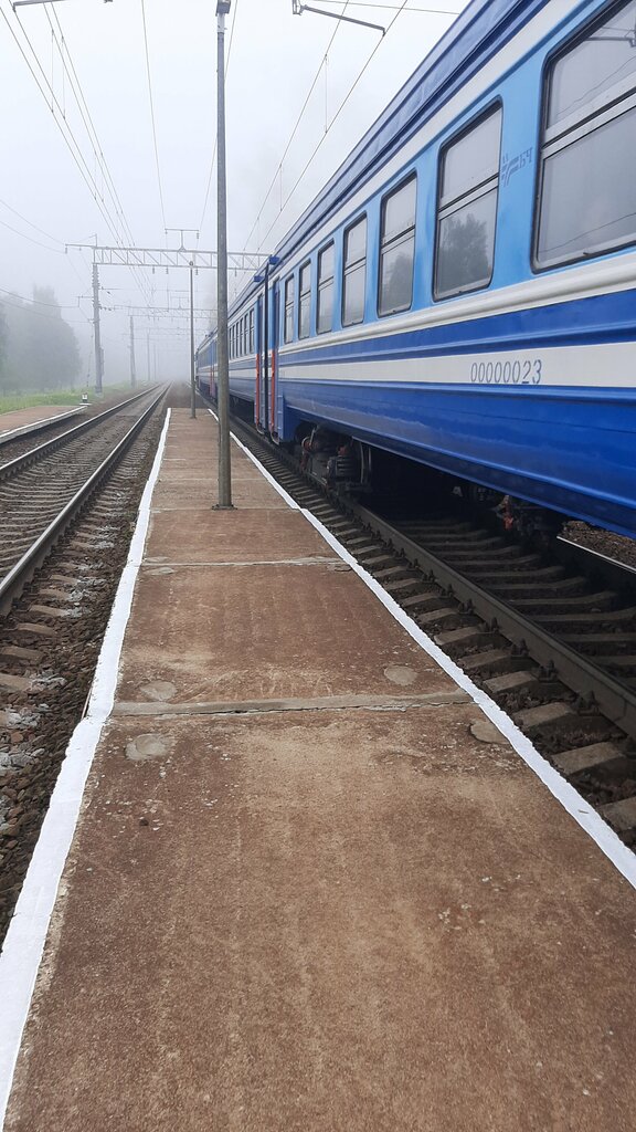 Tren garları Railway station, Mogiliovskaya oblastı, foto