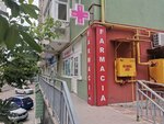 Mama (bulevardul Mircea cel Bătrân No:34/2, Chisinau), eczaneler  Kişinev'den