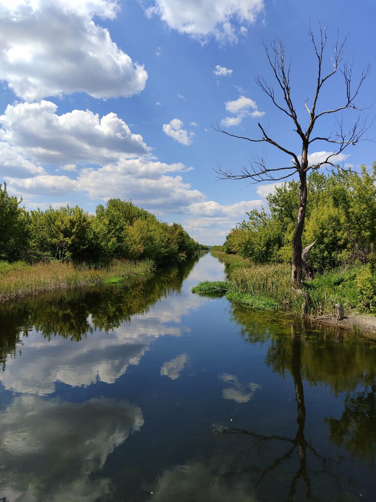 Piknik alanı Место для пикника, Voronejskaya oblastı, foto