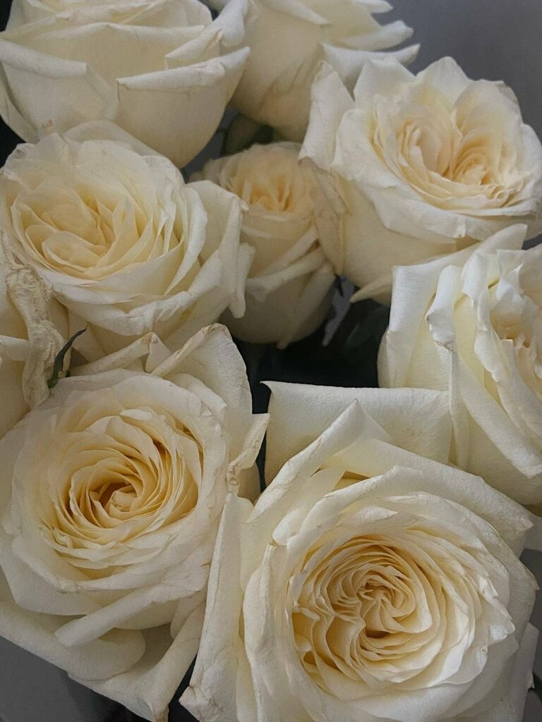 Çiçekçiler Цветы, Moskova, foto