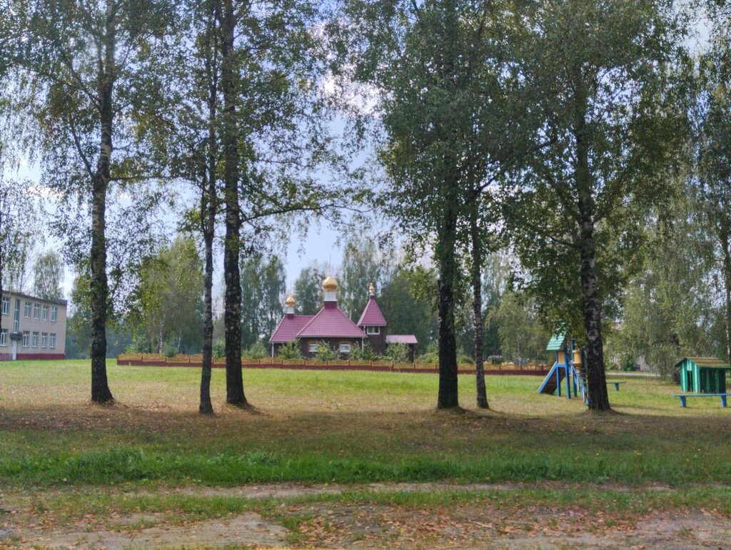 Ortodoks kiliseleri Храм святых бессребреников Космы и Дамиана, Minskaya oblastı, foto