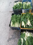 Agricola Angel C. A (Merida), mini-market