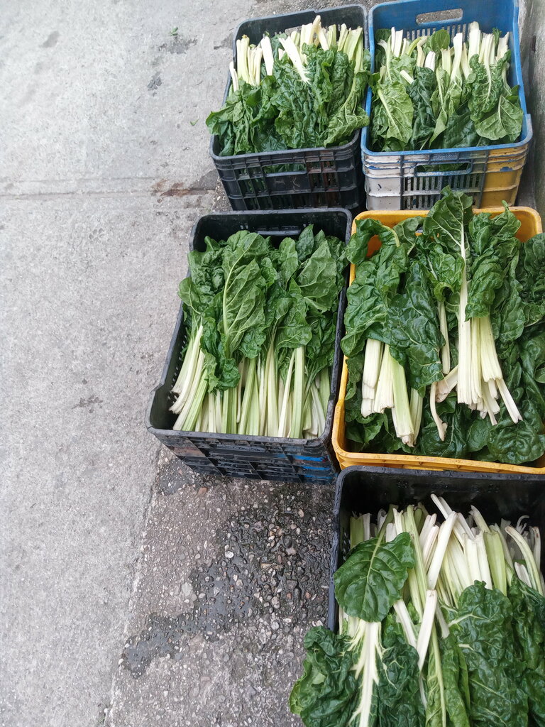 Mini-market Agricola Angel C. A, , foto