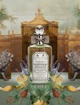 Penhaligon's, perfume shop (156, Al Ittihad Street, Dubai), kozmetik ve parfümeri mağazaları