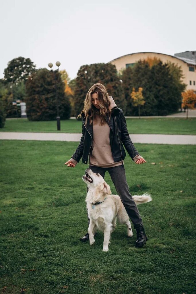 Köpek hizmeti Prosto Sobaki, Moskova, foto