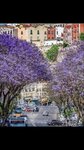 Cagliarifornia (Sardinia, Medio Campidano, Via Carlo Felice, 54), otel  Sardunya'dan