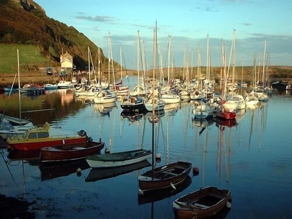 Otel Harepath Holidays Limited, İngiltere, foto