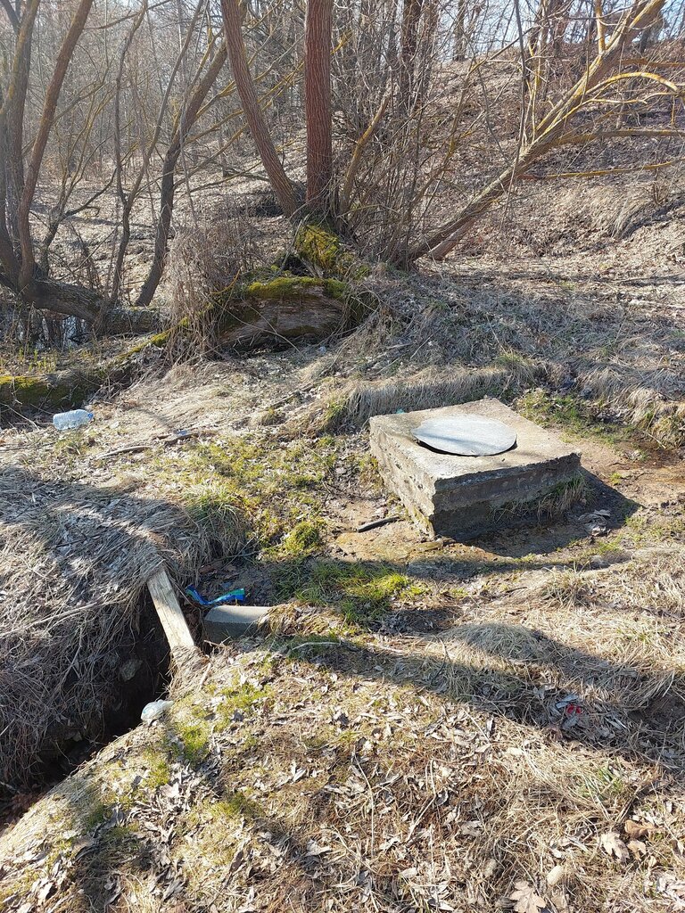Pınar, çay Spring, stream, Gomelskaya oblastı, foto