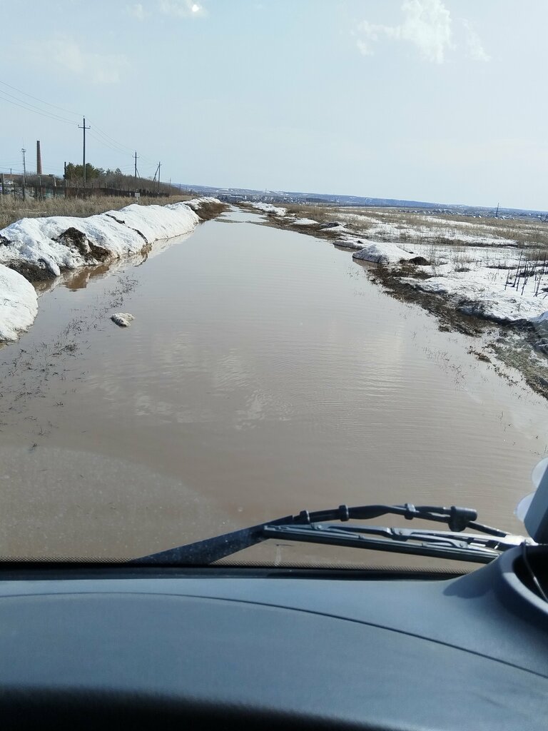 Kanatlı hayvan ürünleri ve yumurta Туймазинская Птицефабрика, Başkurdistan, foto