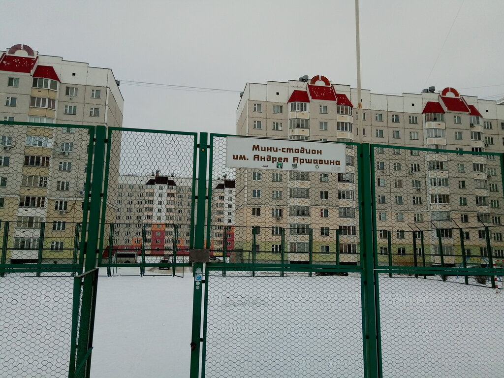 Spor alanı Мини-стадион имени Андрея Аршавина, Orel, foto