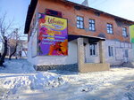 Tsvety (Molodyozhnaya ulitsa No:2), çiçekçiler  Mednogorsk'tan