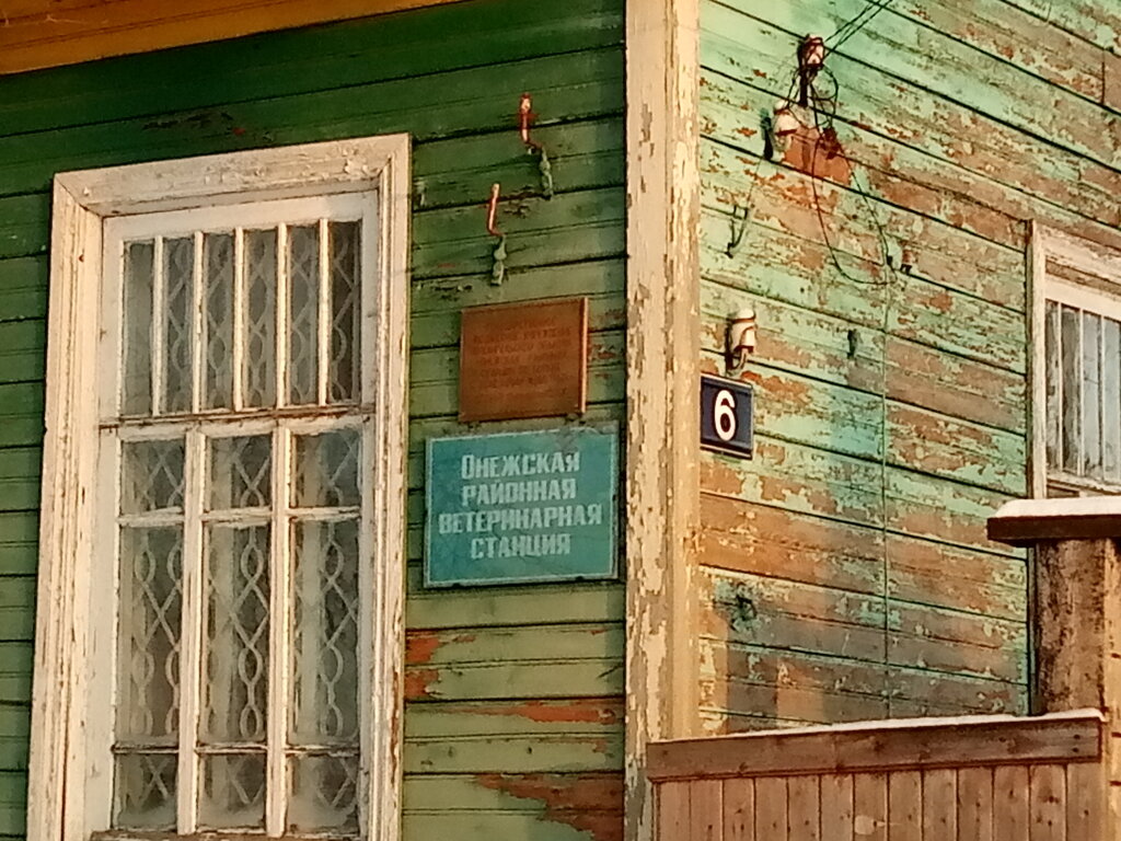 Veteriner klinikleri Veterinarnaya Stantsiya po Borbe s Boleznyami Zhivotnykh, Onega, foto