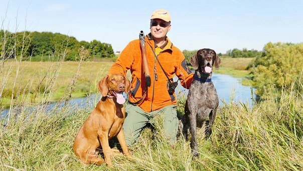 Hayvanat bahçesi merkezi Shkola nataski legavykh sobak, Moskova, foto