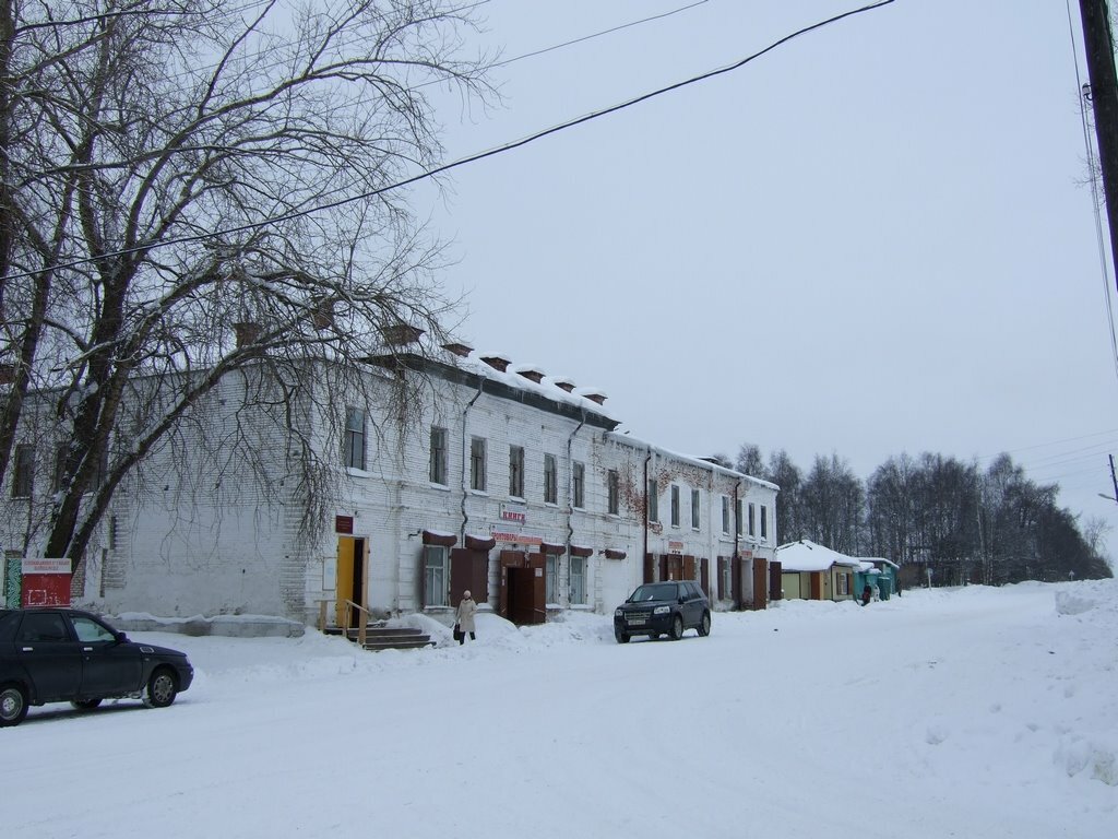 Eczaneler Pinezhskoye Po Aptechny punkt, Arhangelskaya oblastı, foto