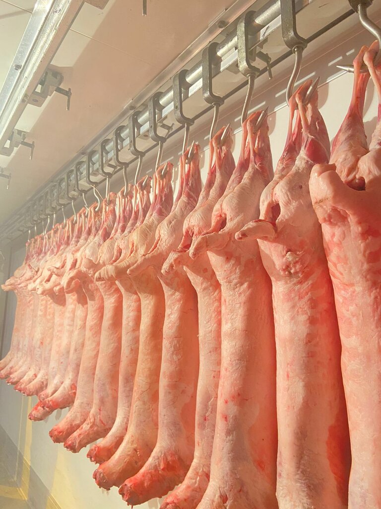 Kasap, şarküteri Мясо и рыба, Kolçugino, foto