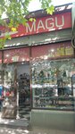 Magu (Vazha Pshavela avenue No:61), üniversiteler  Tiflis'ten