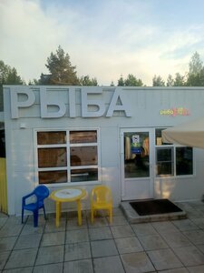 Савельич (No:29, derevnya Ves), kafe  Saint‑Petersburg ve Leningradskaya oblastından