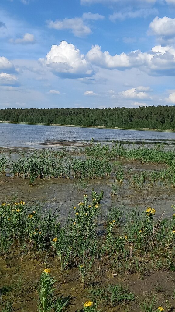 Plaj Пляж, Asbest, foto