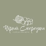 Chernaya smorodina (Chekistskaya ulitsa No:5), çiçek teslimatı  Dmitrov'dan