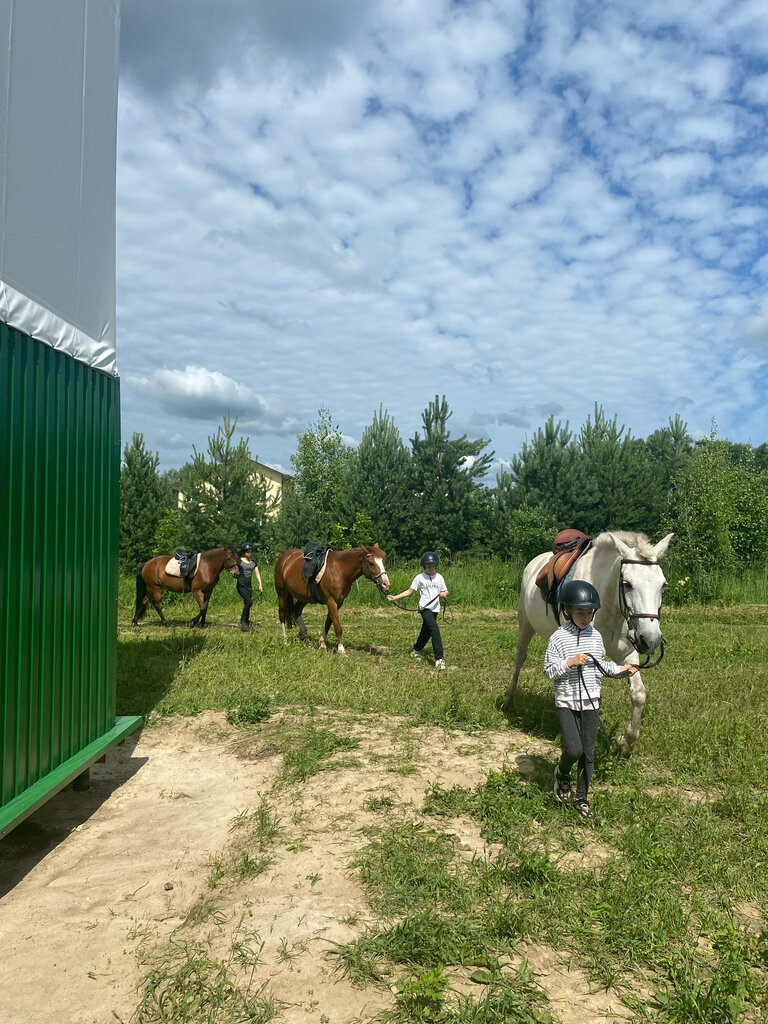 At ve binicilik kulüpleri КСК Белавино, Moskova ve Moskovskaya oblastı, foto