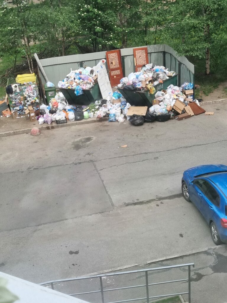Çöp alanları Trash and garbage disposal area, Vsevolgsk, foto