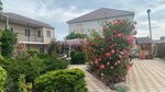 Green courtyard (Широкая улица No:10), konuk evi  Saki'den (Sak'tan)