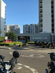 Kamelia (Valle del Cauca, Municipio de Santiago de Cali, Comuna 3, San Antonio, Carrera 10, 4), konut blokları  Cali'den
