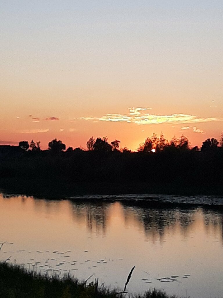 Çiftlik tatili Агроусадьба На Припяти, Gomelskaya oblastı, foto