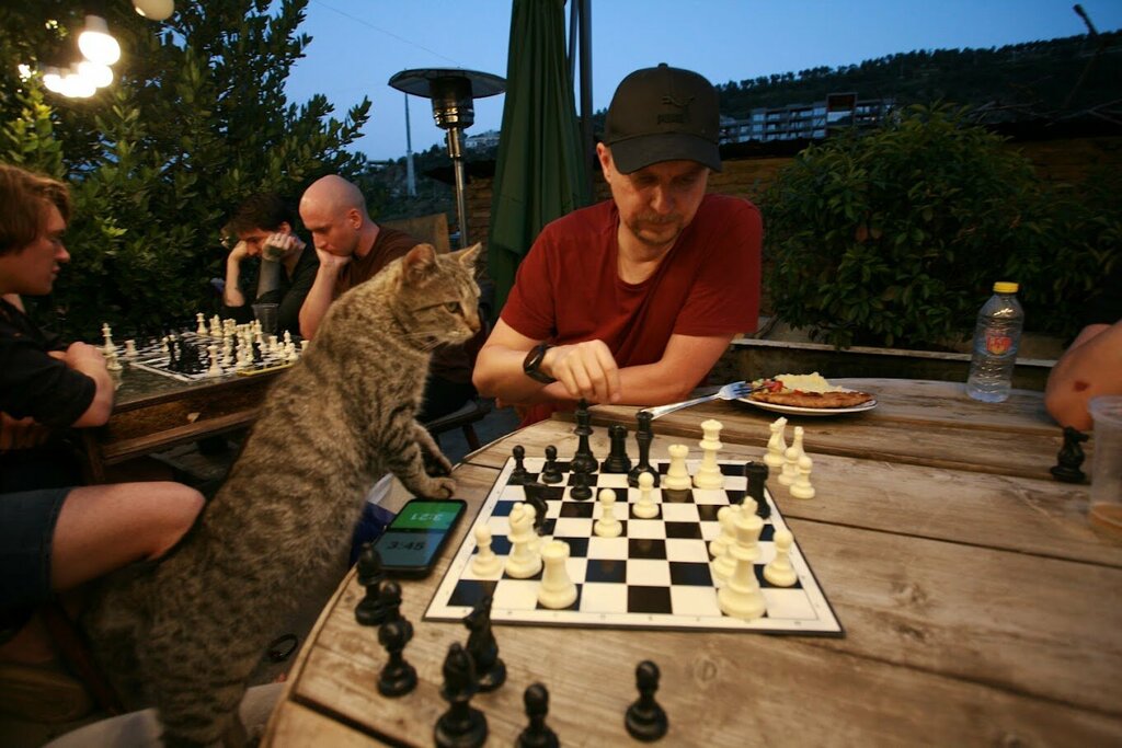 Spor kulüpleri Chess Grinder, Tiflis, foto