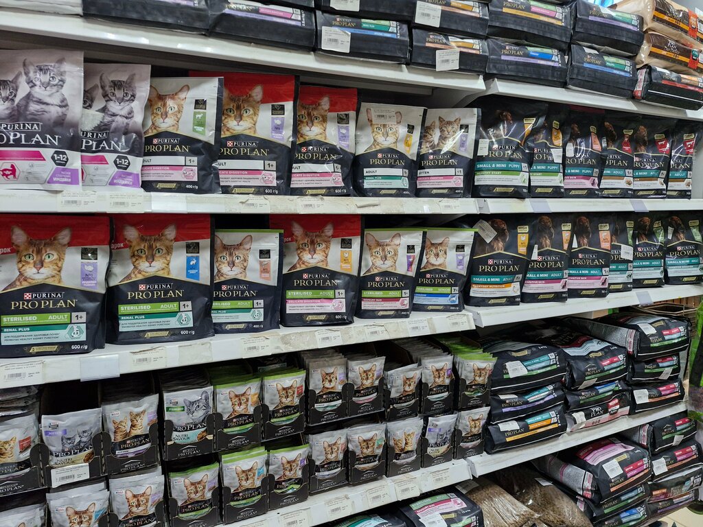 Petshop Три Кота, Zelenogorsk, foto