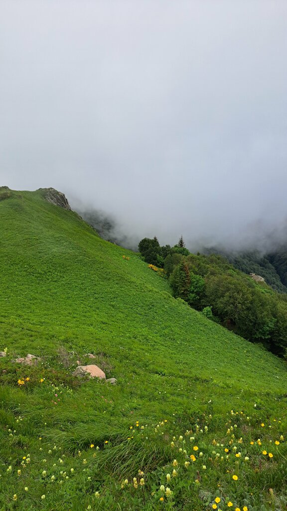 Dağ zirvesi Скалы Семашхо, Krasnodarski krayı, foto