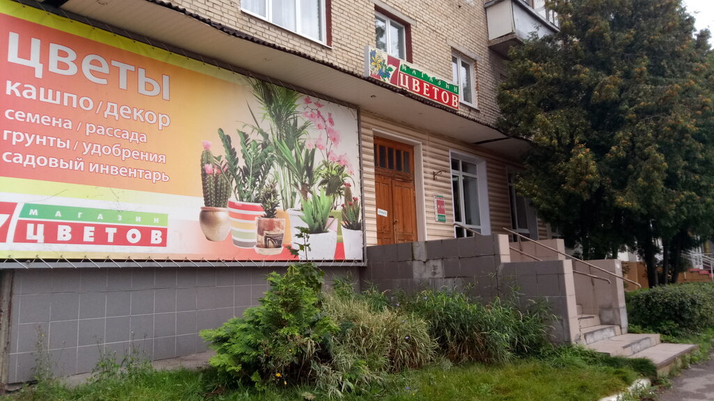 Çiçekçiler Magazin 7 tsvetov, Novomoskovsk, foto