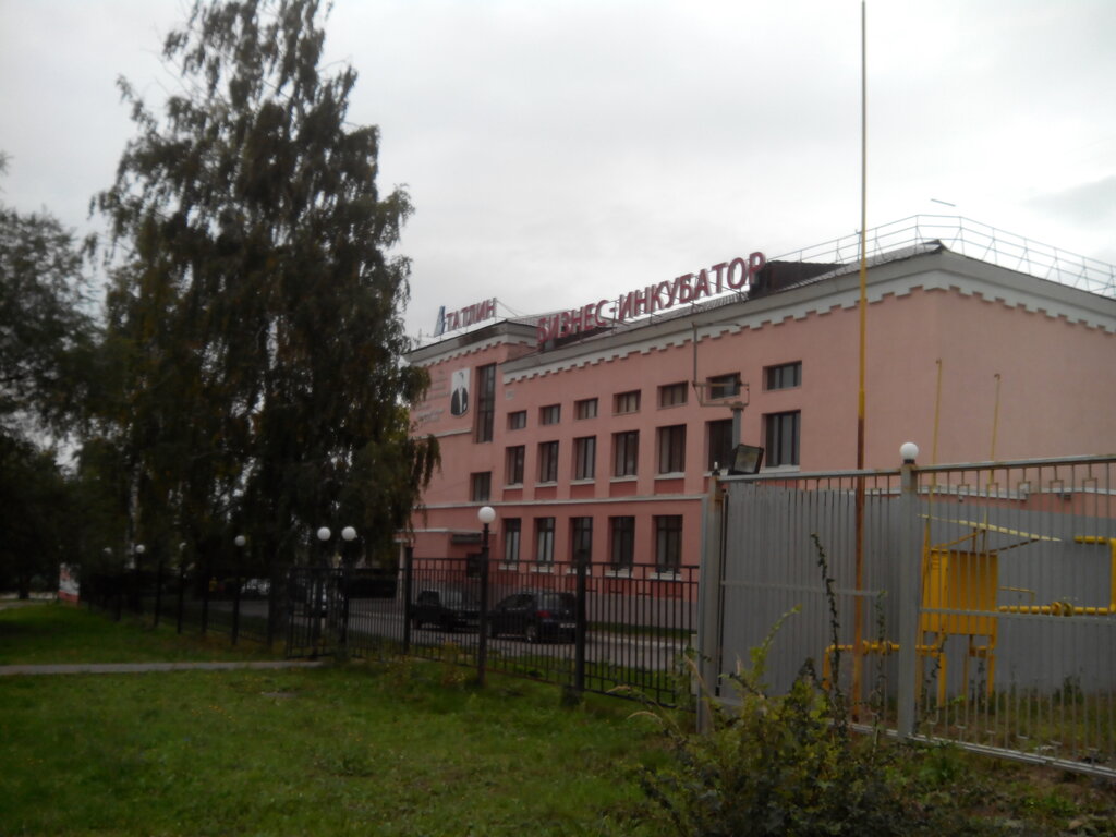 Danışmanlık hizmetleri Tatlin, Penza, foto