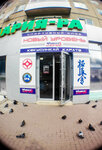 New Level (Lenina Avenue No:98), spor kulüpleri  Kemerovo'dan