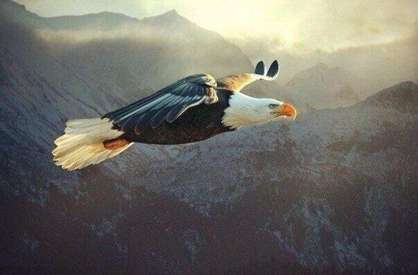 Otel rezervasyonu Otdykh v Yeyske, Yeysk, foto