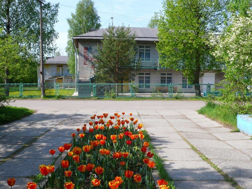 Yaz kampı Detsky ozdorovitelny kompleks Okean, Saint‑Petersburg, foto