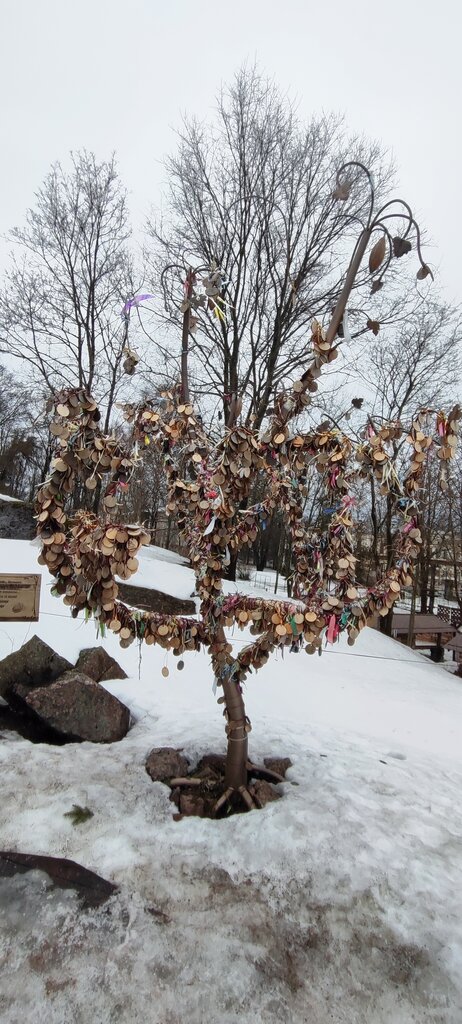 Turistik yerler Дерево желаний, Vyborg, foto