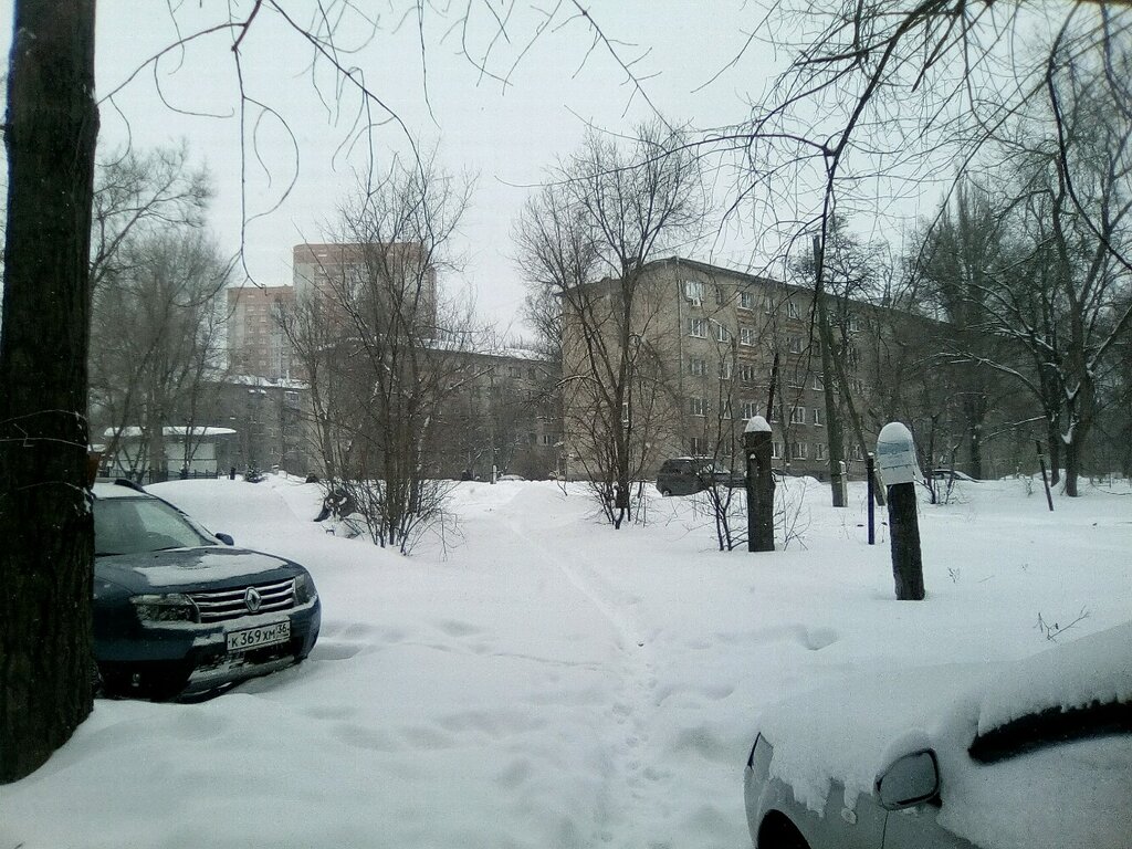 Meydan Сквер Берёзка, Voronej, foto