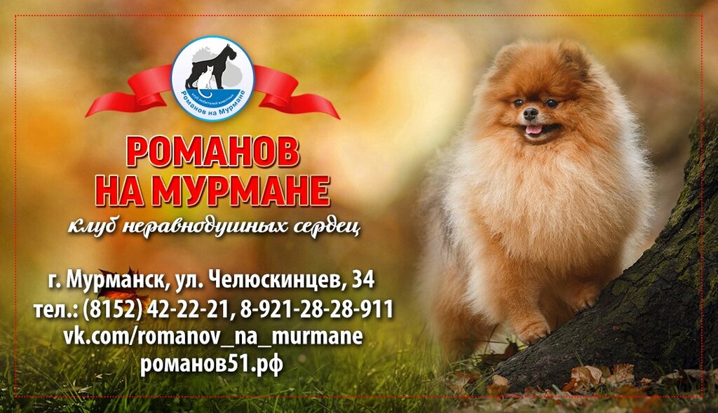 Hayvanat bahçesi merkezi Klub kinologov i kanisterapevtov Romanov na Murmane, Murmansk, foto