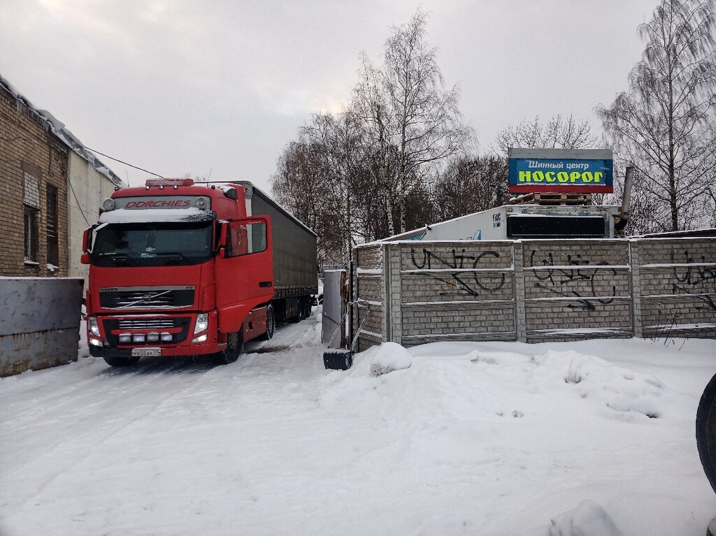 Jant ve lastikçiler Шинный центр Носорог, Yaroslavl, foto