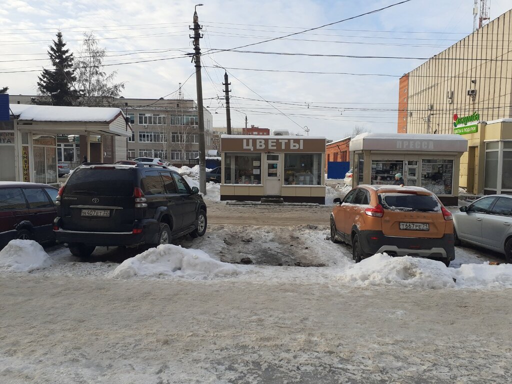 Çiçekçiler Цветы, Tula, foto