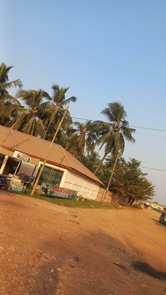 Petshop Garden Of Eden, Dünya, foto