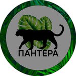 Pantera (Kirova Avenue No:143), veteriner klinikleri  Samara'dan