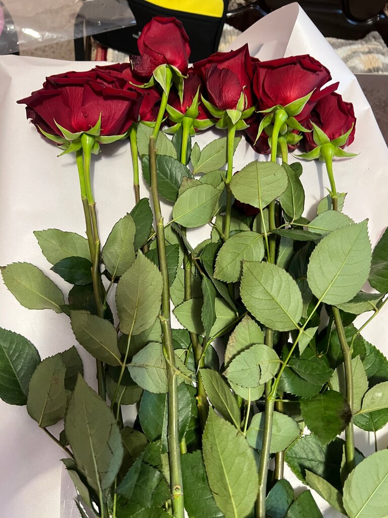 Çiçek teslimatı Cvetopttorg, Saint‑Petersburg, foto