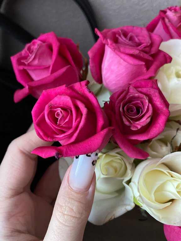 Kutlama ürünleri Цветочный салон, Tiumen, foto