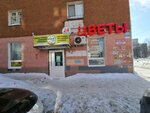 Дачный Мир (Geroev Khasana Street No:13), tohum satan yerler  Perm'den