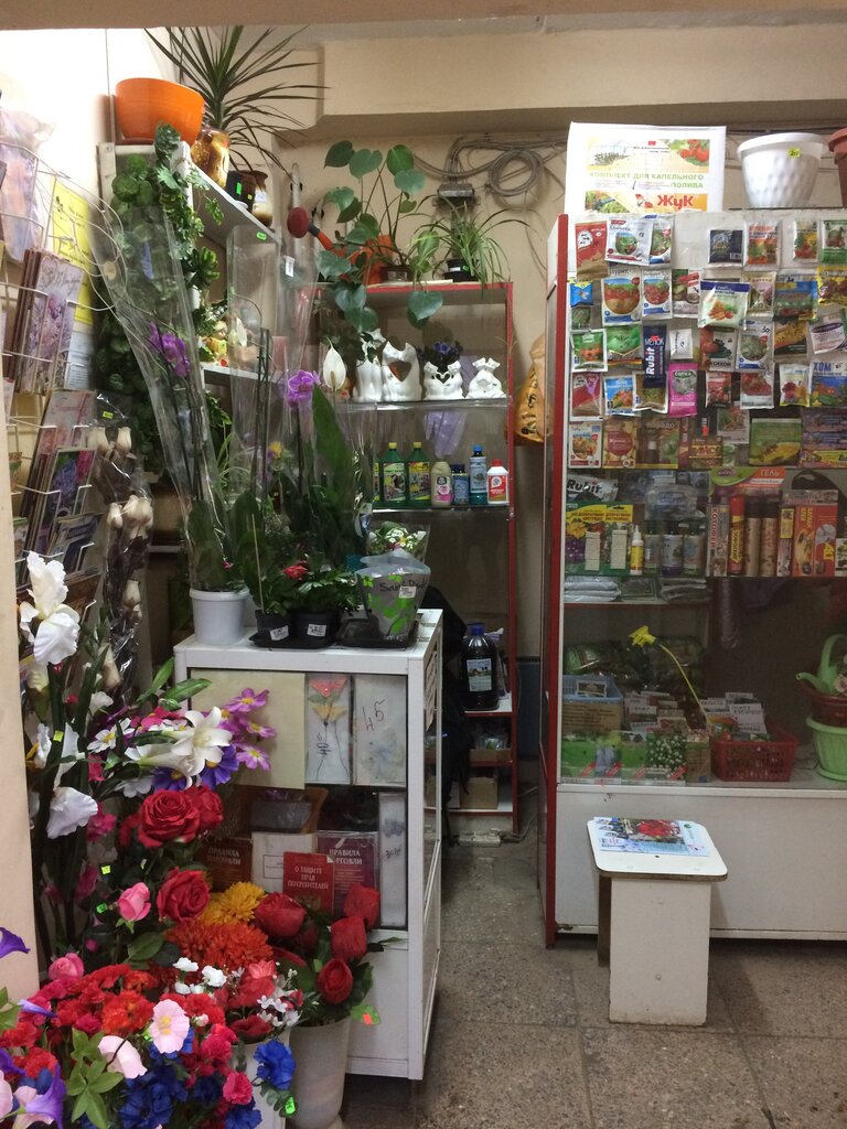 Çiçekçiler Магазин цветов и зоотоваров, Nijni Novgorod, foto