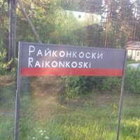Parklar ve ormanlar Райконкоски, Karelya, foto