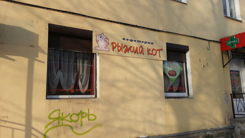 Kafe Ryzhy kot, Volhov, foto