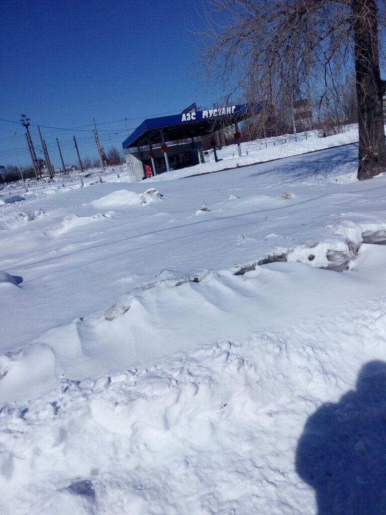 Benzin istasyonu Мустанг, Kazan, foto